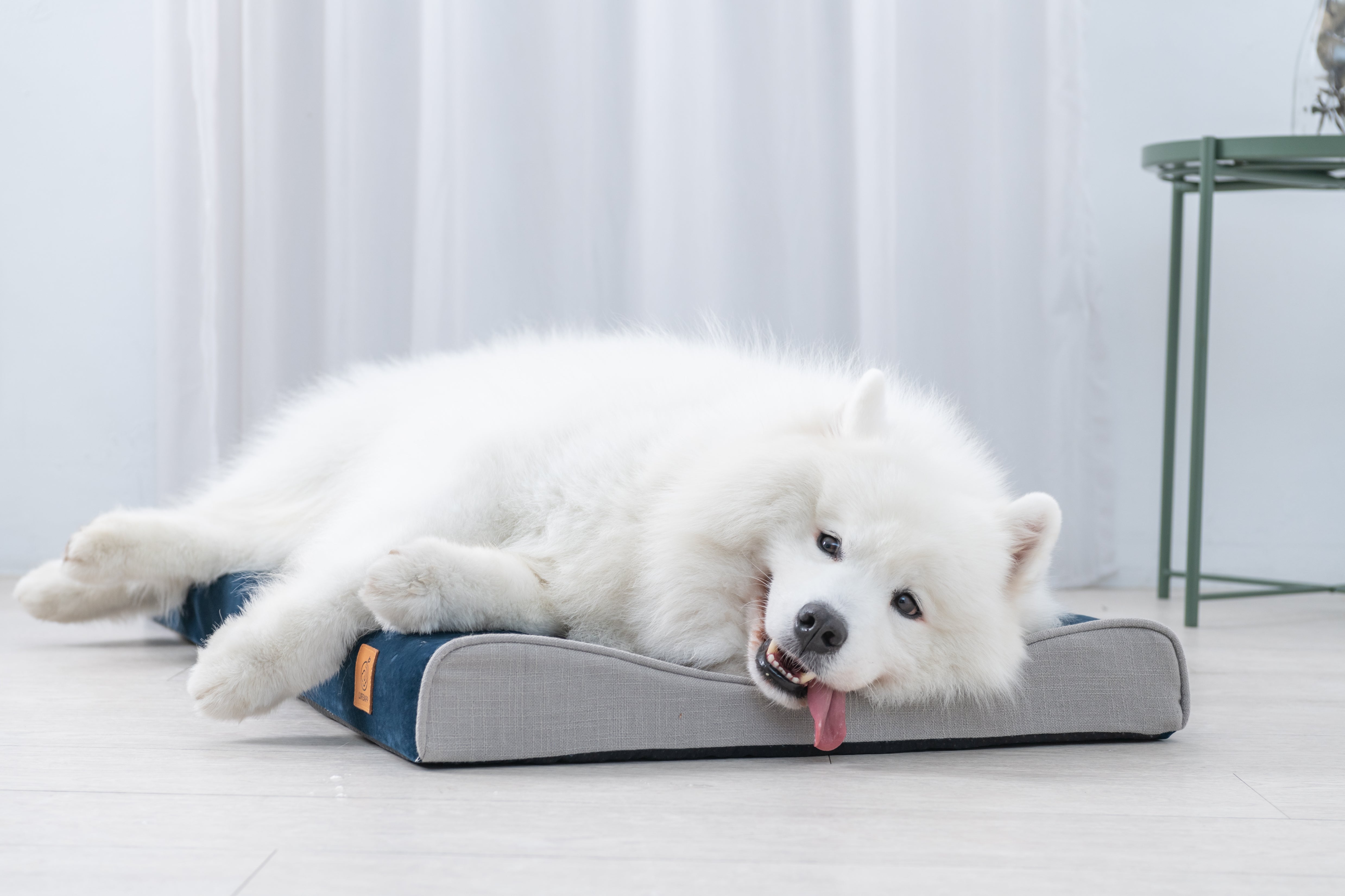 Orthopaedic Lazy Dog Bed - Green - Water Repellent – Burrowy